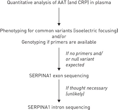 algorithm for laboratory testing of α1 antitrypsin deficiency aatd download scientific