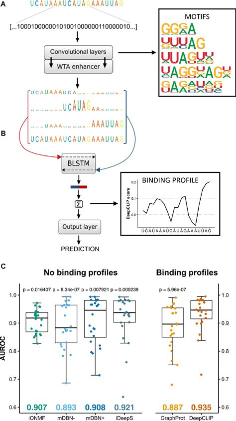figure 1 from predicting the effect of mutations on protein rna binding with deep learning