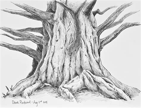 5 Tree Sketching Tips Alan Li