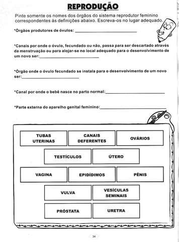 EDUCAÇÃO INFANTIL SEXUALIDADE E PUBERDADE ATIVIDADES E DESENHOS III