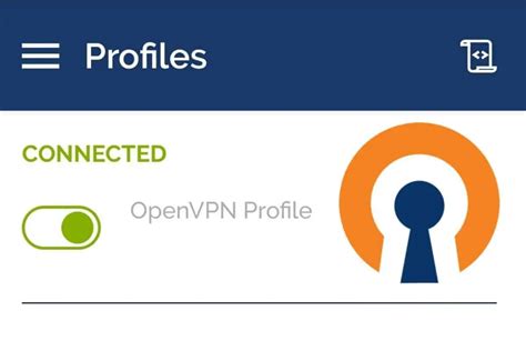 La Forma M S F Cil De Instalar Un Servidor Openvpn En Raspberry Pi
