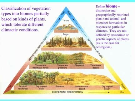 Climate Biomes Flashcards Quizlet