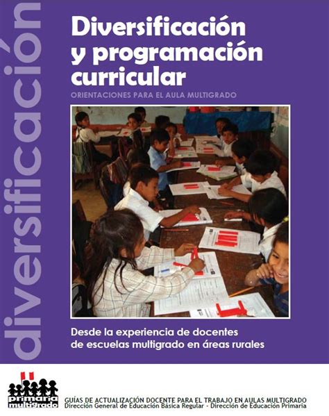 Diversificaci N Y Programaci N Curricular Orientaciones Para El Aula