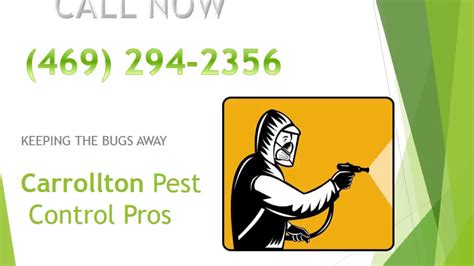 Carrollton Pest Control Pest Control Service In Carrollton YouTube
