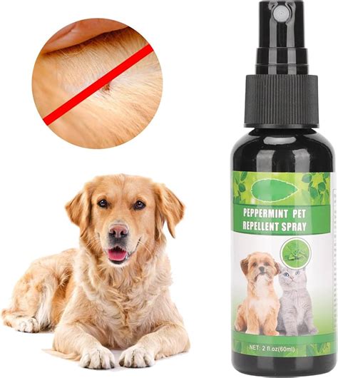 Como Hacer Un Repelente De Moscas Para Perros