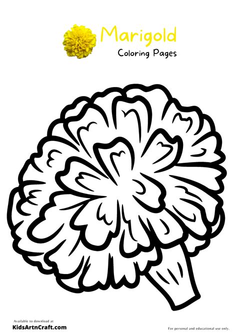 Genda Flower Clipart To Color