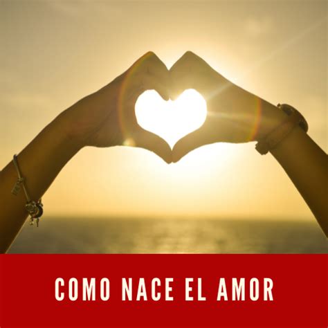 Cómo Nace el Amor Te diremos cuales son sus causas