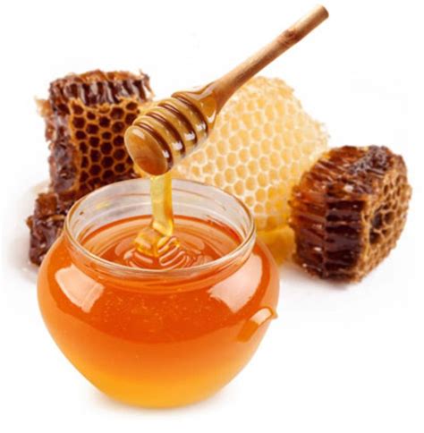 5 bài thuốc trị ho lâu ngày không khỏi hiệu quả