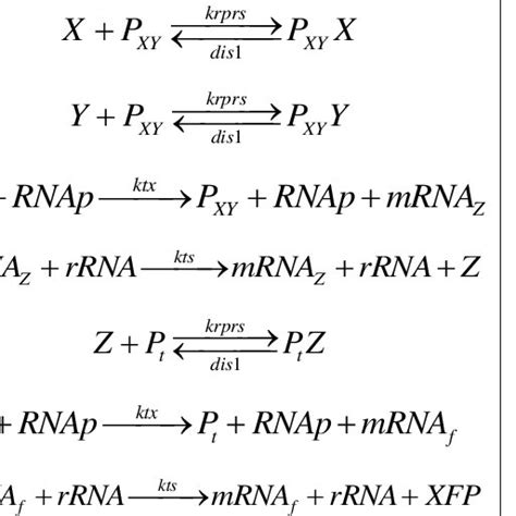 biochemical reaction model of or gate 2 download table