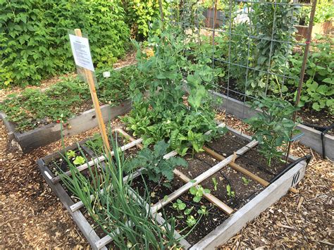 How To Improve Clay Soil And Poor Garden Drainage HubPages