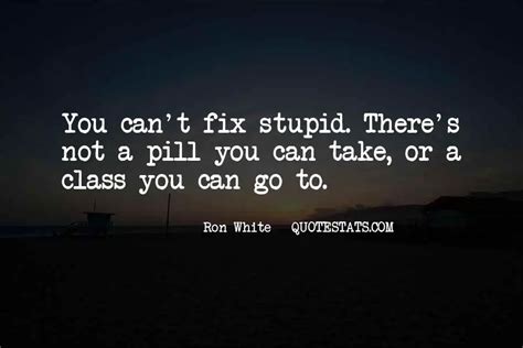 Best You Can T Fix Stupid Quotes 2021 Etandoz