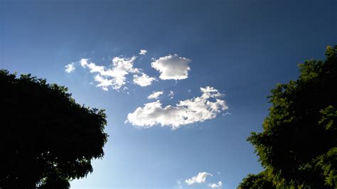 Free Images Tree Nature Horizon Light Cloud Plant Sky Sun