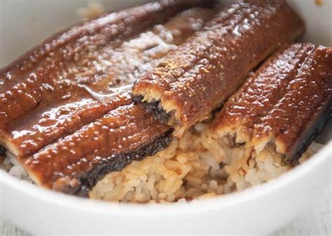 Unadon Japanese Eel Rice Bowl 51 OFF