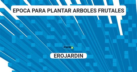 Details 48 mejor época para plantar árboles frutales Abzlocal mx