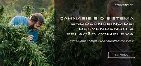 Cannabis E O Sistema Endocanabin Ide Desvendando A Rela O Complexa