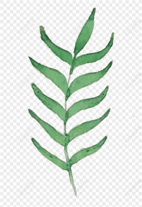 Planta De Hojas PNG Imágenes Gratis Lovepik