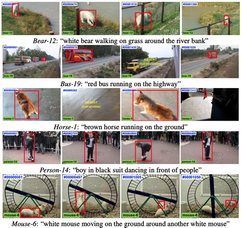 dcf asn coarse to fine real time visual tracking via discriminative correlation filter and