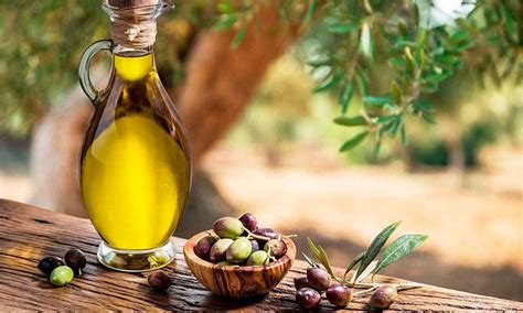 Estos son los 9 mejores aceites de oliva de España para el Ministerio