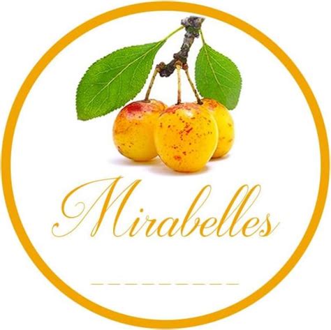 Mon Bio Jardin Lot d étiquettes Autocollantes pour Confiture faciles à