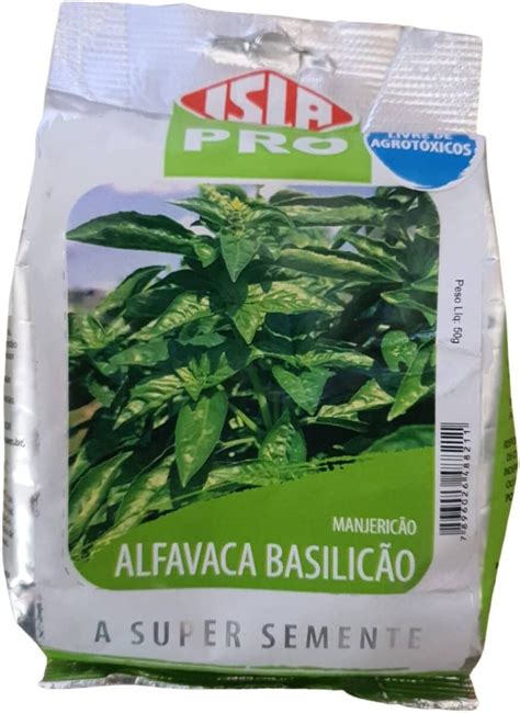 Sementes de Manjericão Alfavaca Basilicão 50g ISLA Amazon br