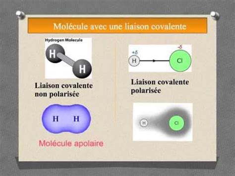 Molécules polaires et apolaires YouTube
