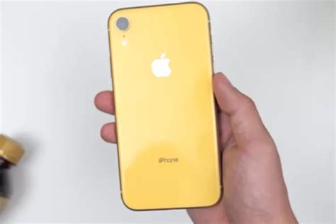Harga IPhone XR Terbaru 2023 Masih Layak Digunakan Di Tahun 2023