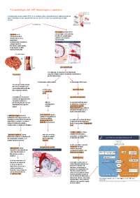 Accidente cerebrovascular Esquemas y mapas conceptuales de Patología