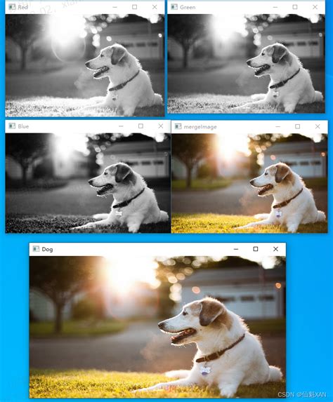 python 基于 opencv 视觉图像处理实战 之 图像相关的基本概念，以及图像的基础操作 一 图像处理中对原图格式输入有什么要求 csdn博客
