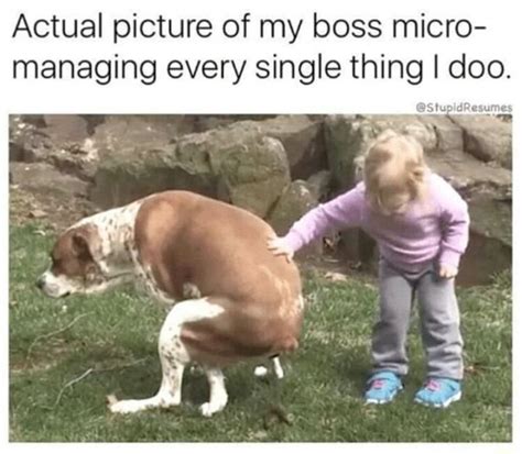 57 Bad Boss Memes Funny Managers That Won T Get A Best Boss Mug