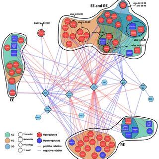 Omics Network Overview And Highlights A Baseline Omics Network