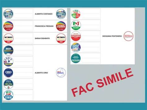 Elezioni 2024 I Fac Simile Delle Schede