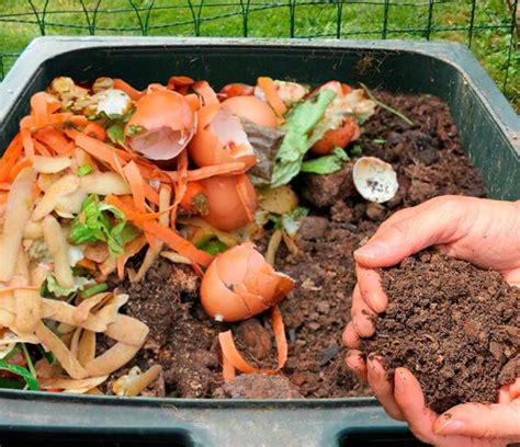 Cómo hacer compost en casa con el método Bokashi GreenCity by Matabi