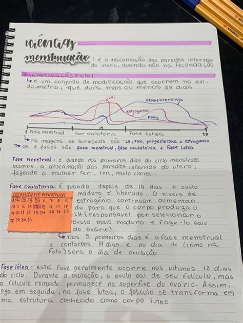 Resumo Ciclo Menstrual Ideias Da Escola Resumo