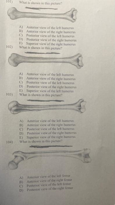 Difference Between Right And Left Humerus