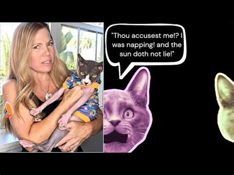 Lord Linus Naughty Sphynx Day Sphynx Cat Youtube