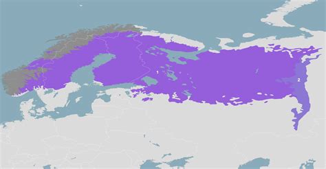 Ural Mountains West Eurasian Taiga Forests Pa One Earth