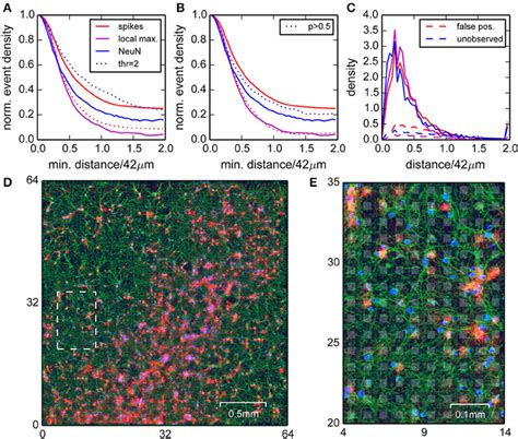 frontiers spike detection for large neural populations using high density multielectrode