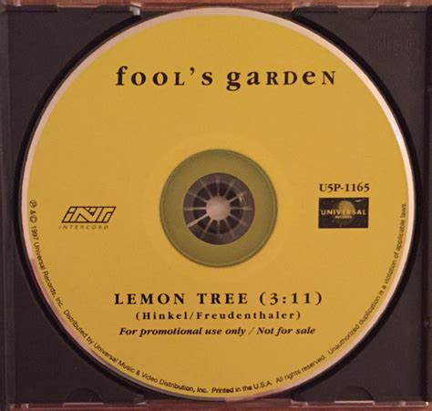 Fool S Garden Lemon Tree CD Single Promo Discogs