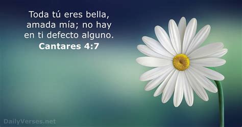 Cantares 4 7 Versículo de la Biblia DailyVerses net
