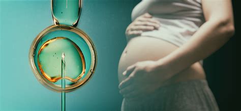 Que Es La Fertilizacion In Vitro