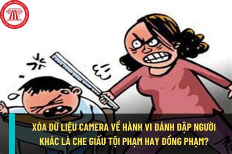 Xóa dữ liệu camera ghi lại hành vi đánh đập người khác là che giấu tội