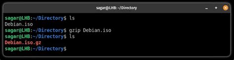 how to use the gzip command in linux