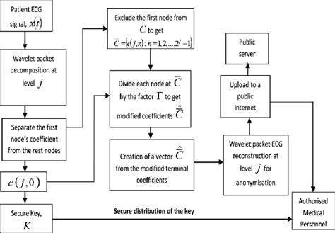 wavelet packet based ecg anonymisation process download scientific diagram