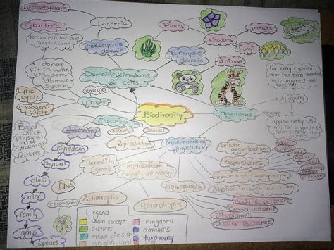 Unit 1 Concept Map Biology E Portfolio