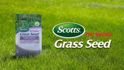 How To Use Scotts Turf Builder Grass Seed YouTube