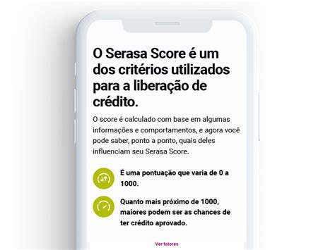 Conhe A Tudo Sobre O Serasa Score Descubra Todas As Respostas