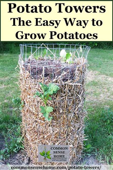 How To BUILD A Potato Tower Home Garden DIY