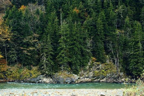Autumn Forest Trees Mountains River Landscape Nature 23382057 Stock