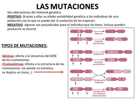 Diapositiva Genética 4º ESO Explicación visual de las mutaciones