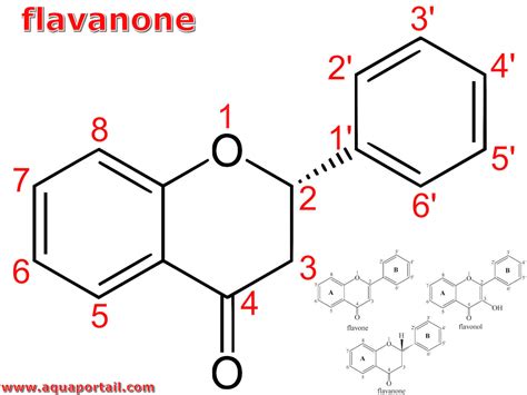Flavanone définition et explications